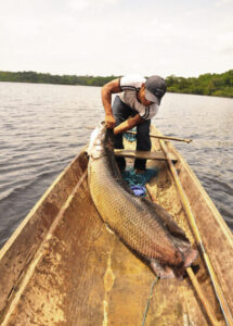 Pirarucu’s Tongue - Objects of the Forest
