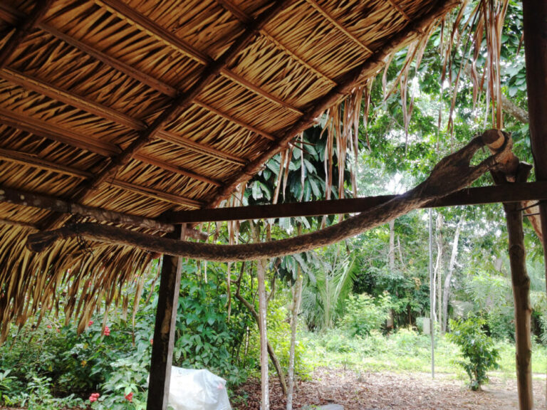 Tipiti Squeezer - Objects of the Forest