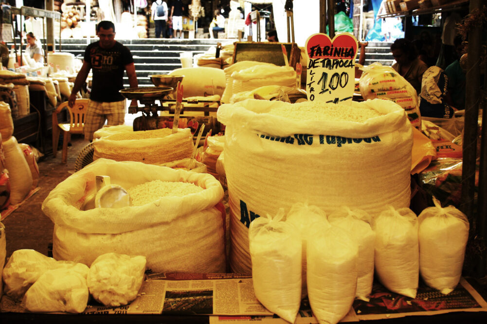 Tipiti Squeezer - Objects of the Forest