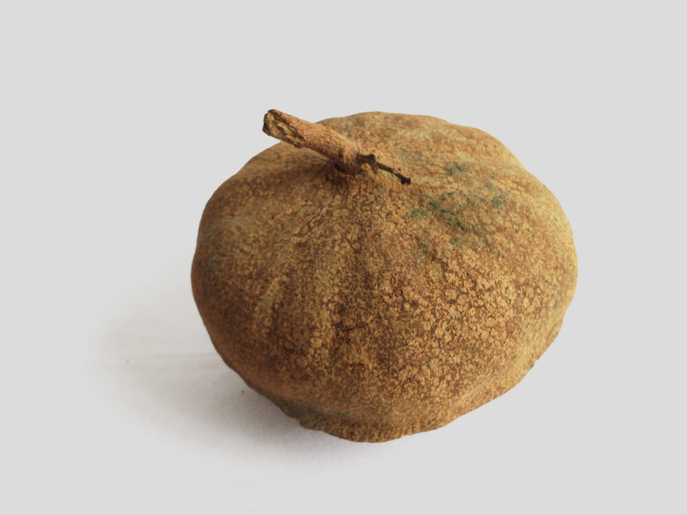 Cuia-of-Monkey - Objects of the Forest