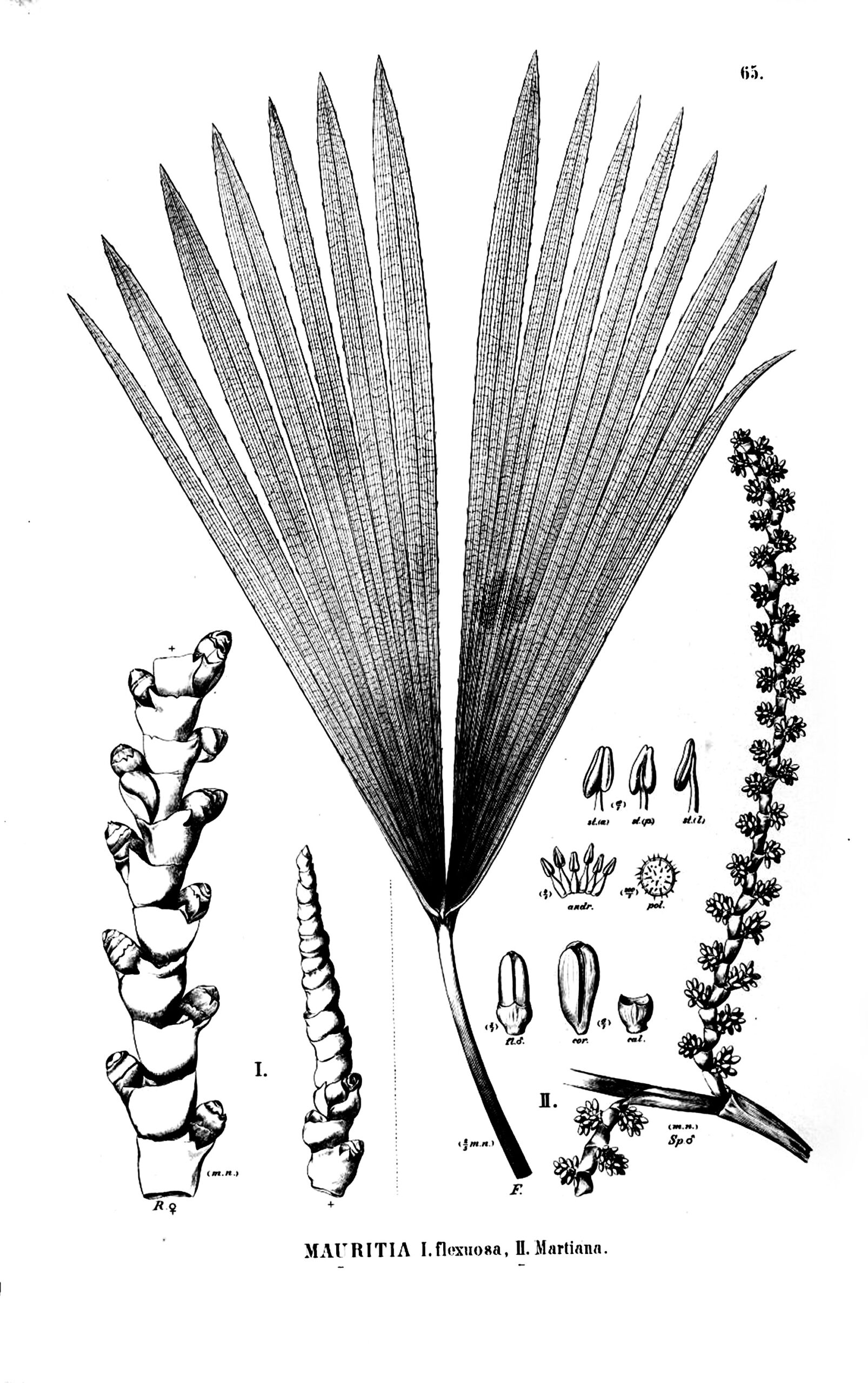 Miriti Toys - Objects of the Forest